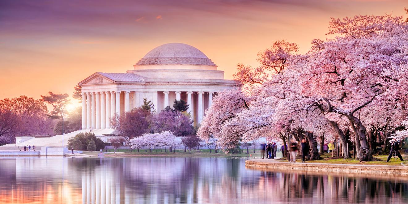 Cherry Blossoms and Outdoor Festivals: Why We Love Springtime in ...