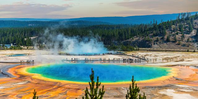 Road Trip from Calgary to Yellowstone National Park