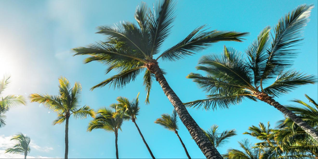 Road Trip from Minnesota to Orlando, Florida