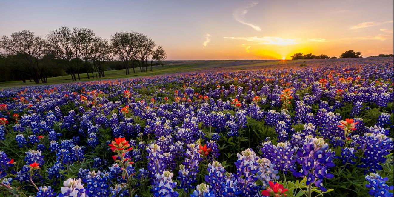 Road Trip from Houston to Dallas